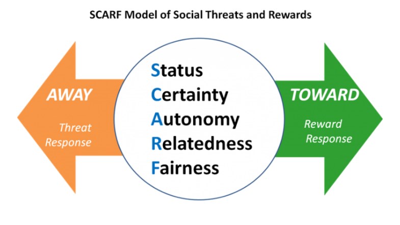 Метод SCARF: что это такое и как этим пользоваться? | Блог 4brain